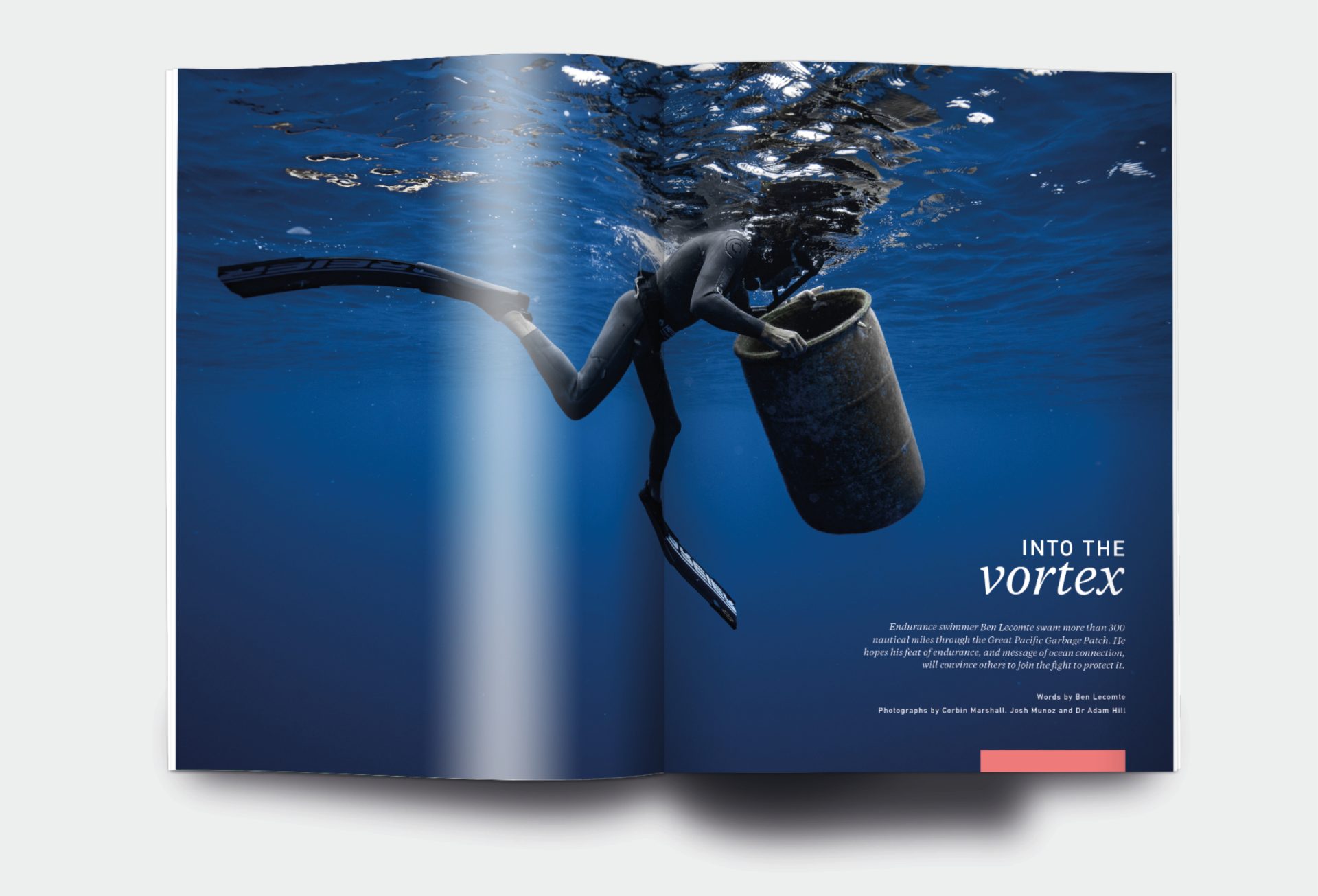 Oceanographic Magazine / Issue Nine / Dancing with orcas - Oceanographic