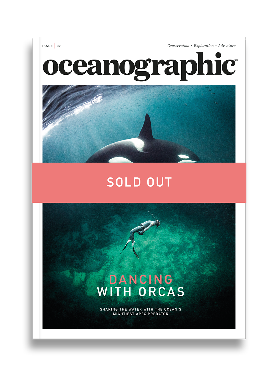 Riley Elliot: A victory for sharks - Oceanographic - Oceanographic