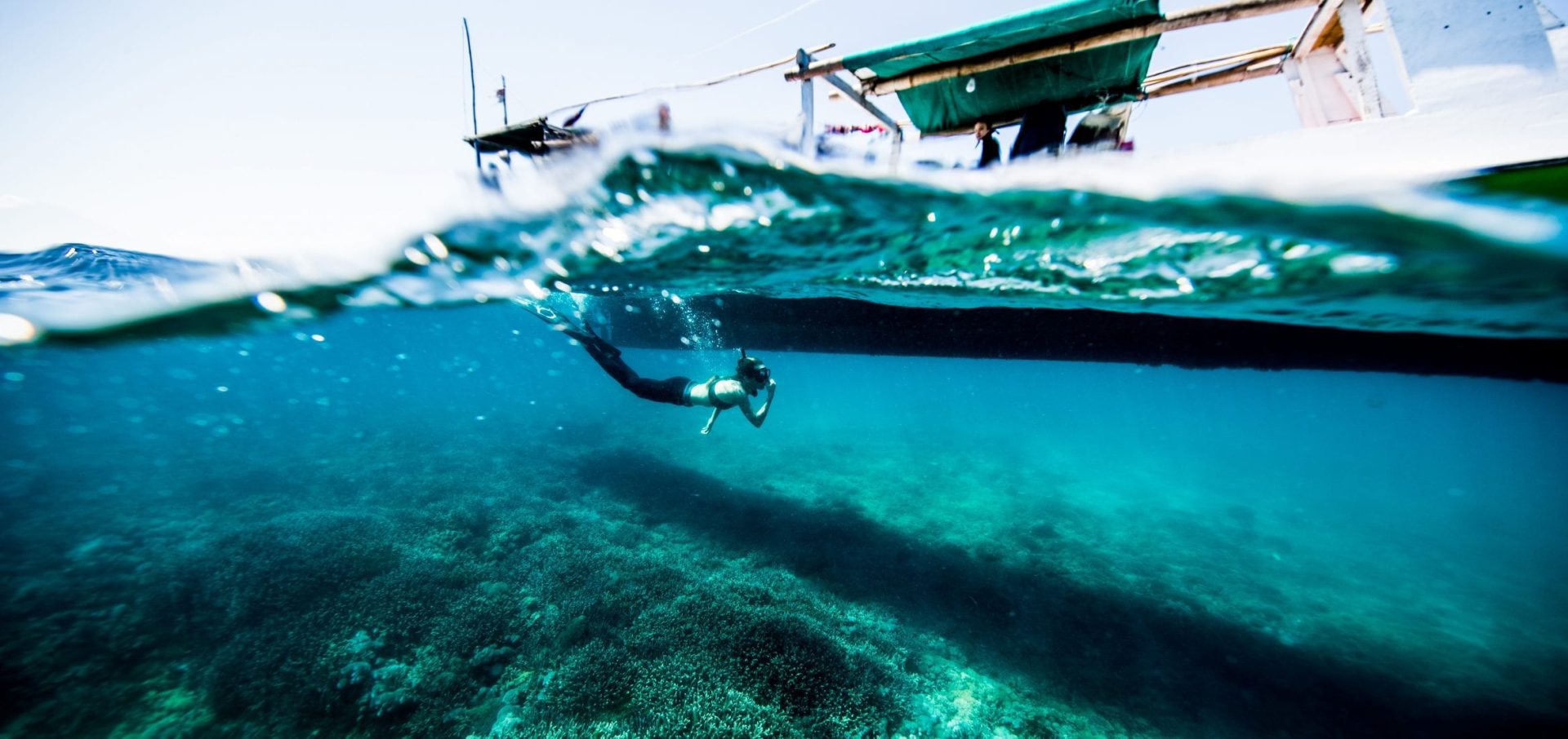 The shark defender: In conversation with Project Hiu founder, Madison ...