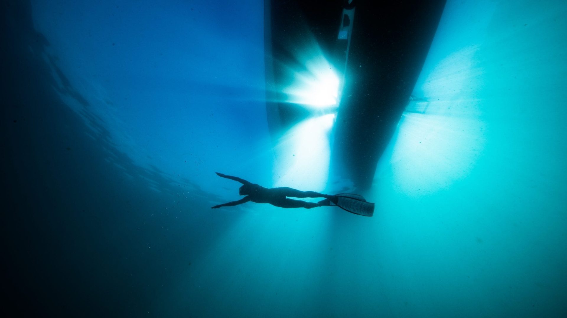 Beyond the fear: An interview with Julie Andersen - Oceanographic ...