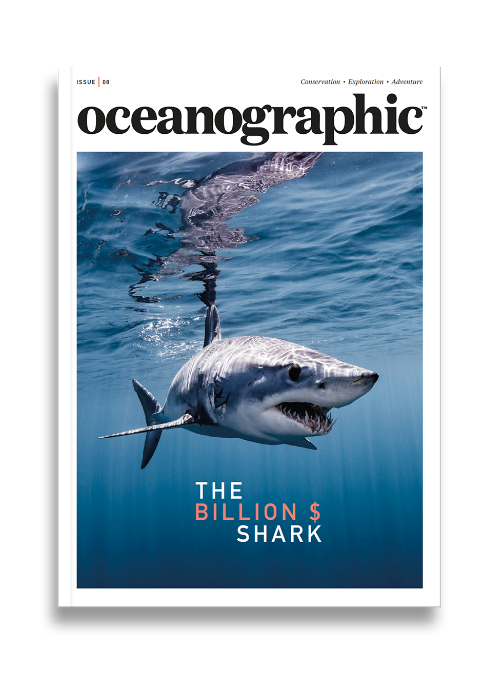 Hanli Prinsloo: Wilderness above and below - Oceanographic - Oceanographic