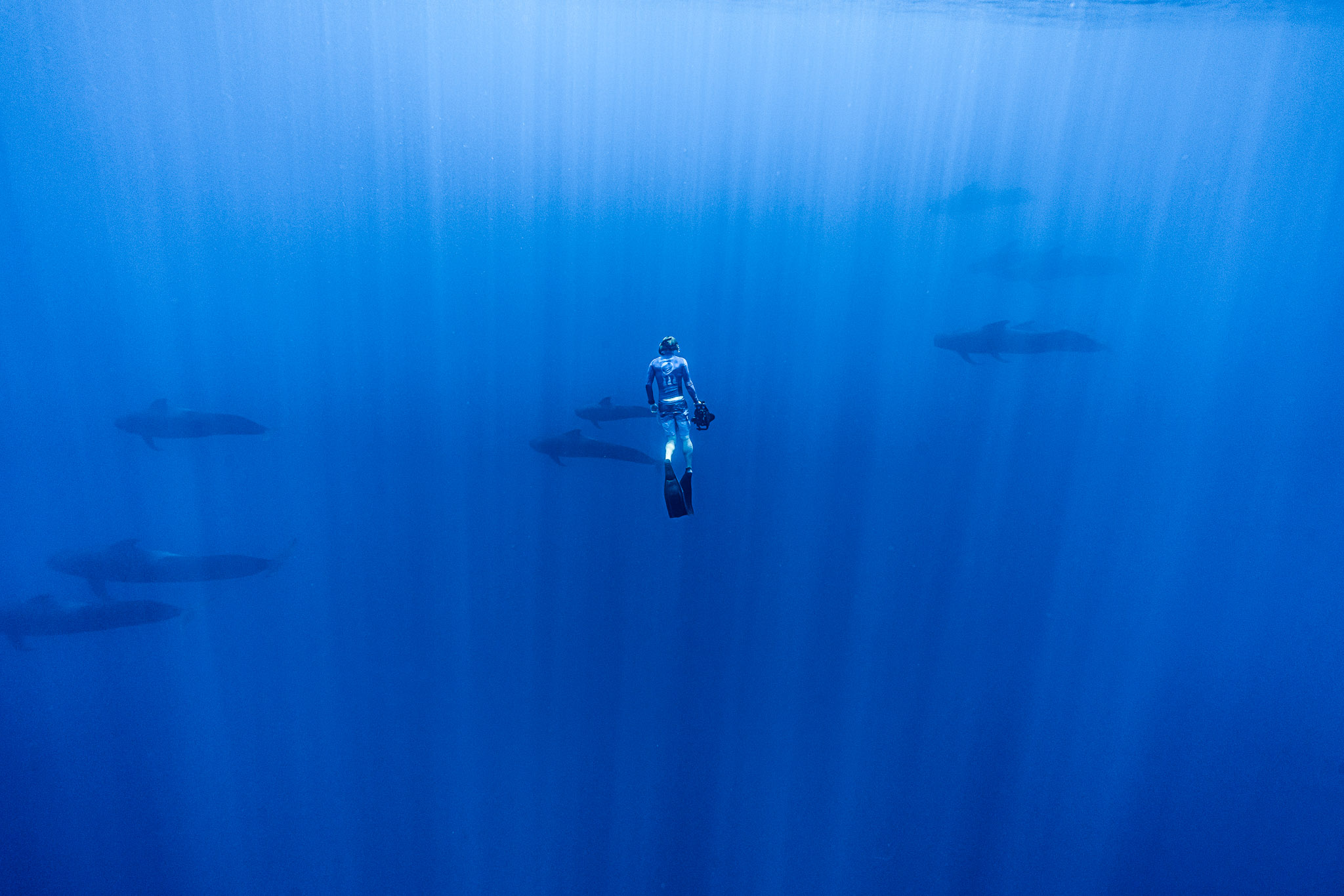 The ocean and me: Henley Spiers - Oceanographic - Oceanographic