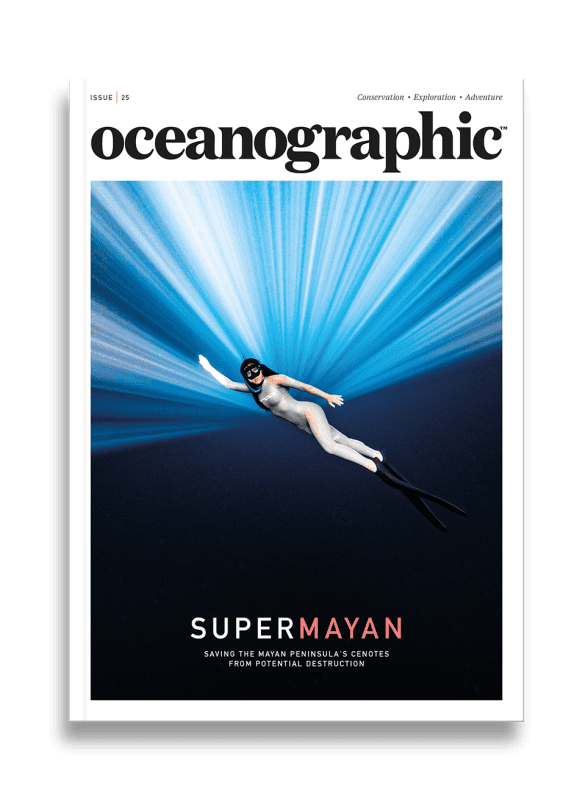 Oceanographic Magazine - 20% for ocean conservation - Oceanographic