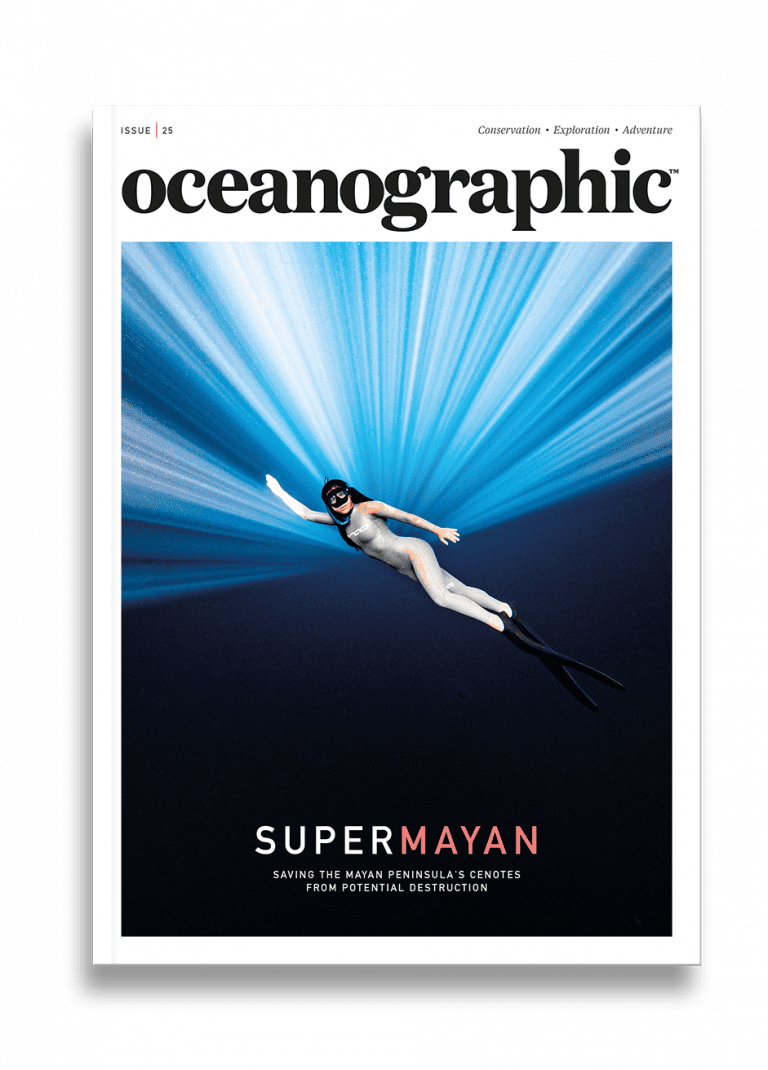 Oceanographic Magazine - 20% for ocean conservation - Oceanographic