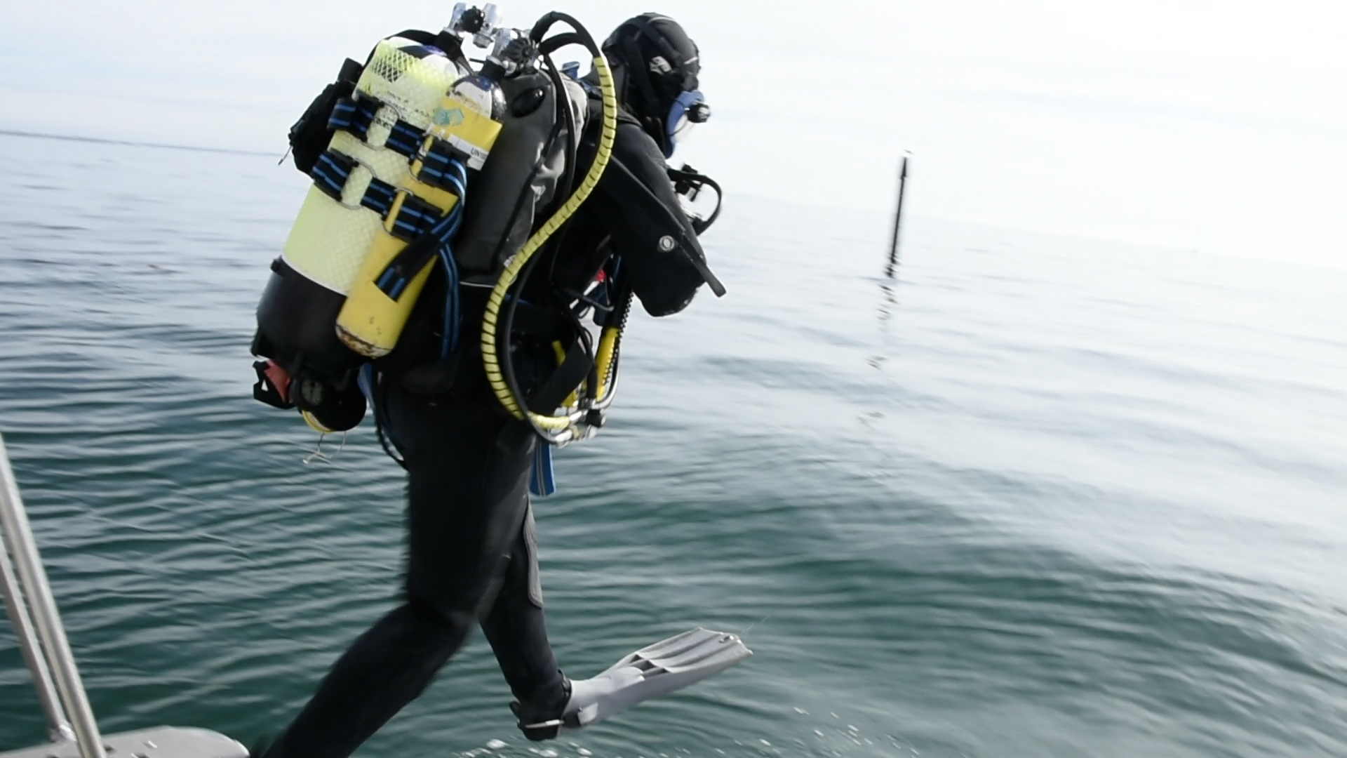 Hope for lobsters - Oceanographic - Oceanographic