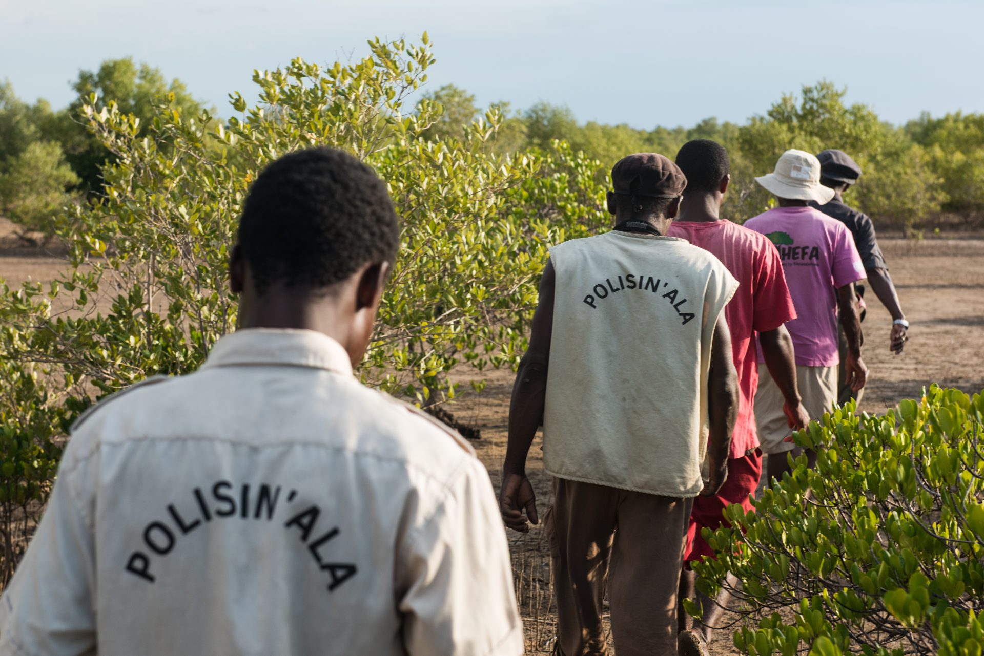 Madagascar: The mangrove police - Oceanographic - Oceanographic