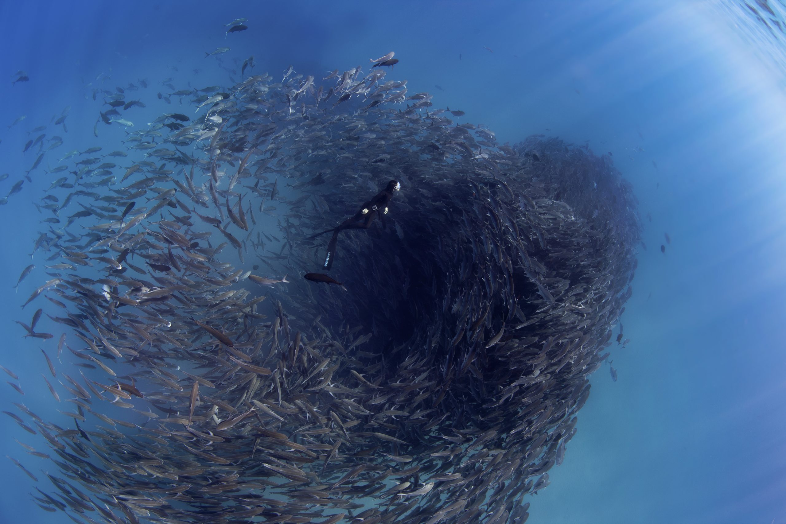 Hanli Prinsloo: Discomfort and finding peace within - Oceanographic ...