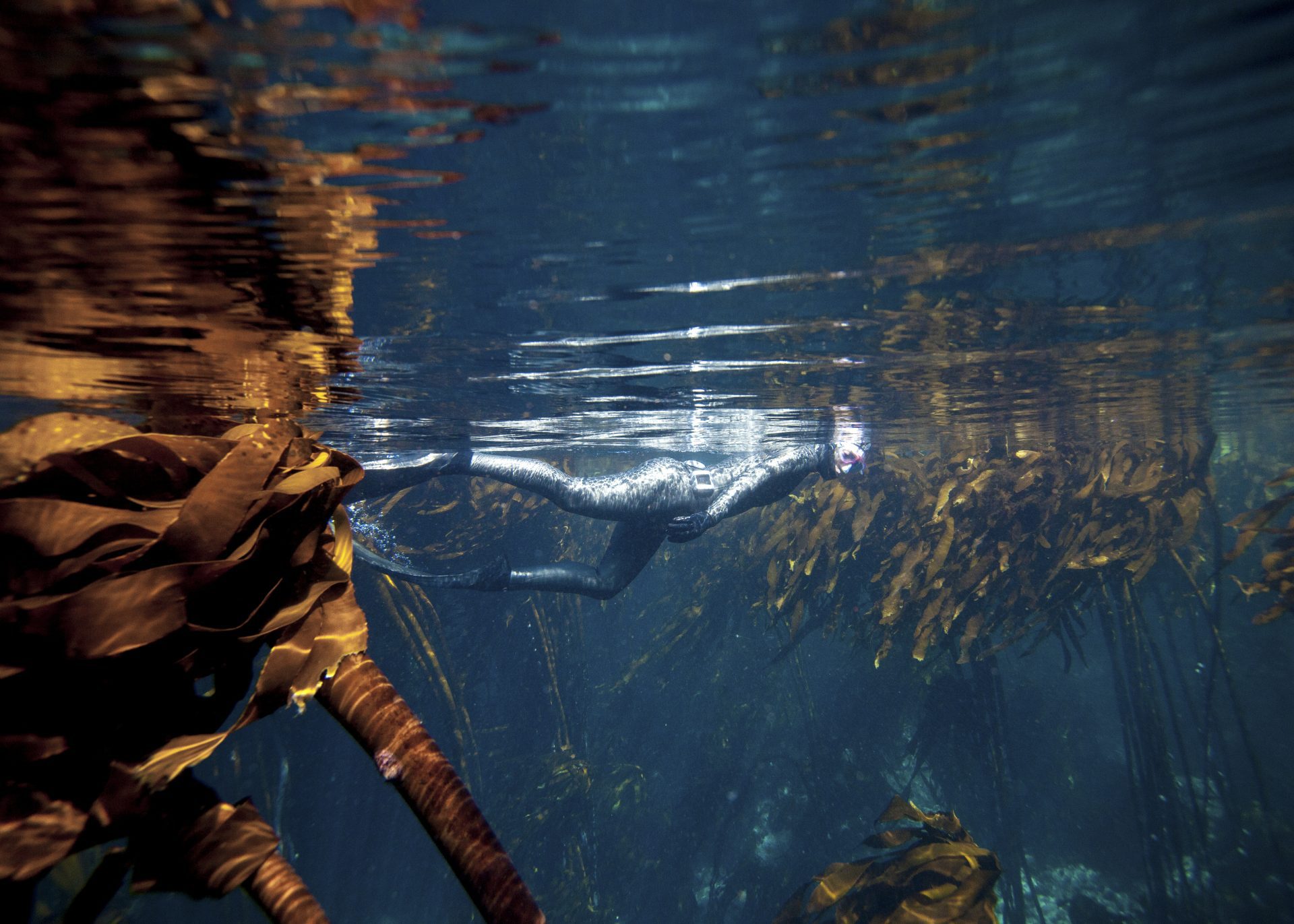 Hanli Prinsloo: Those who care, win - Oceanographic - Oceanographic