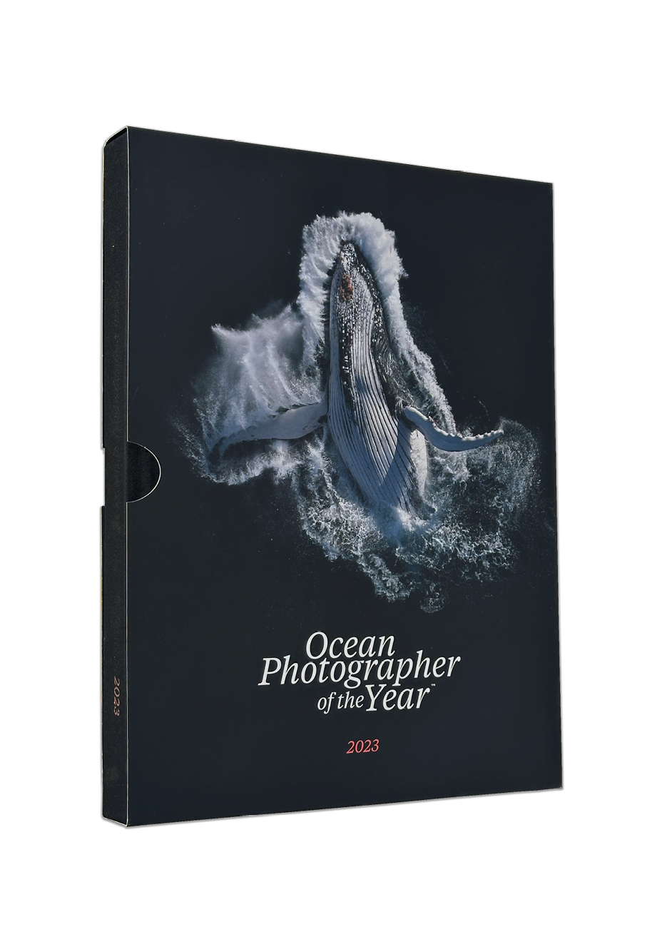 Ocean Photographer of the Year 2023, 3rd place, Alvaro Herrero Lopez-Beltran - Oceanographic ...