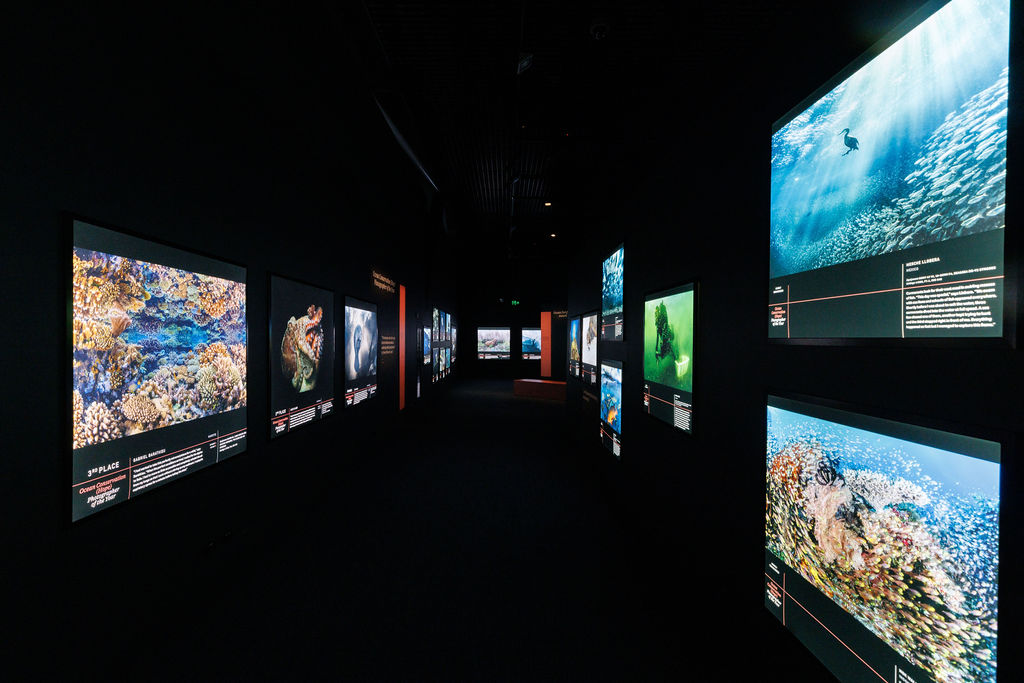 Hire the Exhibition - Oceanographic